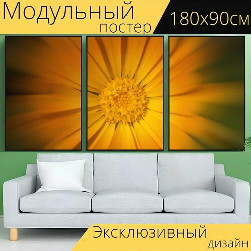 Модульный постер "Блум, весна, цветы" 180 x 90 см. для интерьера