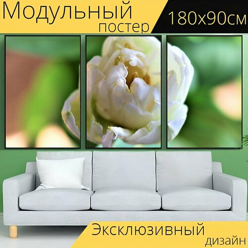 Модульный постер "Тюльпан, цветок, зеленый" 180 x 90 см. для интерьера