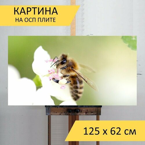 Картина на ОСП 125х62 см. "Пчела, цвести, весна" горизонтальная, для интерьера, с креплениями