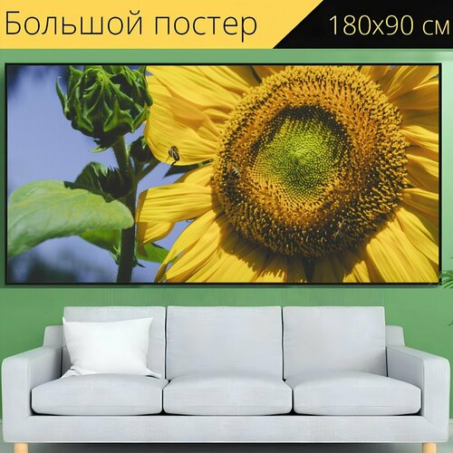 Большой постер "Подсолнечник, желтый, цветок" 180 x 90 см. для интерьера