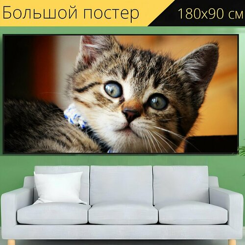 Большой постер "Кошка, котенок, домашнее животное" 180 x 90 см. для интерьера