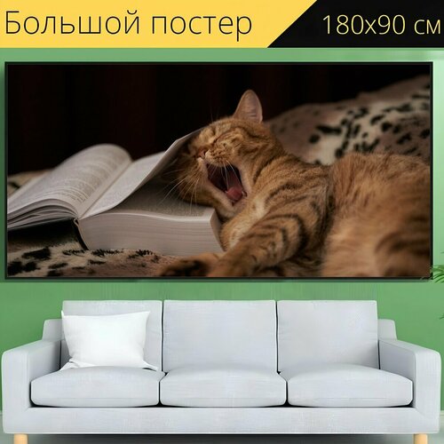 Большой постер "Кот, книга, милый" 180 x 90 см. для интерьера