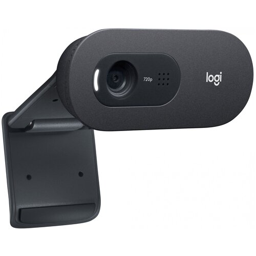 Камера Web Logitech WebCam C505e черный 2Mpix USB2.0 с микрофоном для ноутбука