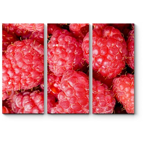 Модульная картина Крупные ягоды малины 90x65