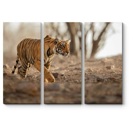 Модульная картина Тигр на охоте90x65