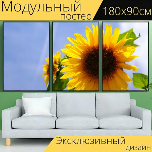 Модульный постер "Подсолнечник, цветок, солнце небо" 180 x 90 см. для интерьера