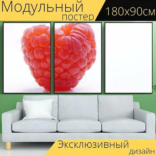 Модульный постер "Малина, красный, фрукты" 180 x 90 см. для интерьера