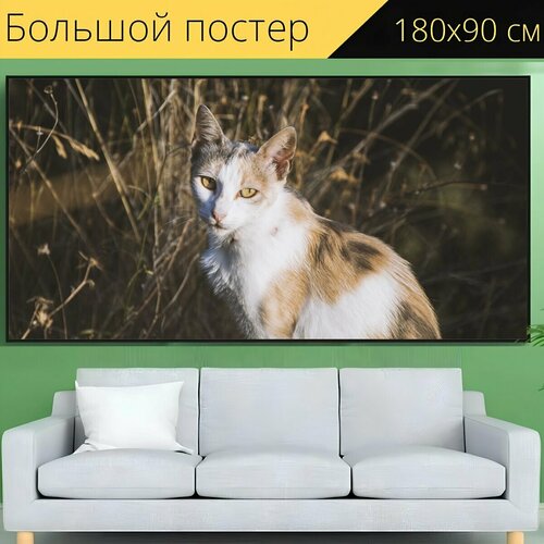 Большой постер "Кошка, бездомный, бездомный кот" 180 x 90 см. для интерьера