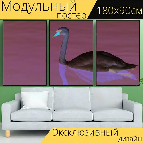 Модульный постер "Лебедь, гусак, перо" 180 x 90 см. для интерьера