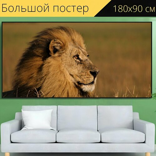 Большой постер "Лев, мужчина лев, король джунглей" 180 x 90 см. для интерьера