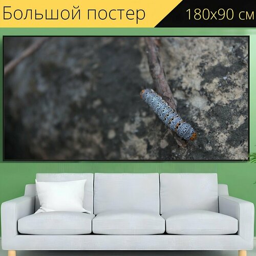 Большой постер "Гусеница, камень, червь" 180 x 90 см. для интерьера