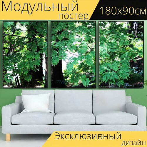 Модульный постер "Природа, зеленый, лист" 180 x 90 см. для интерьера