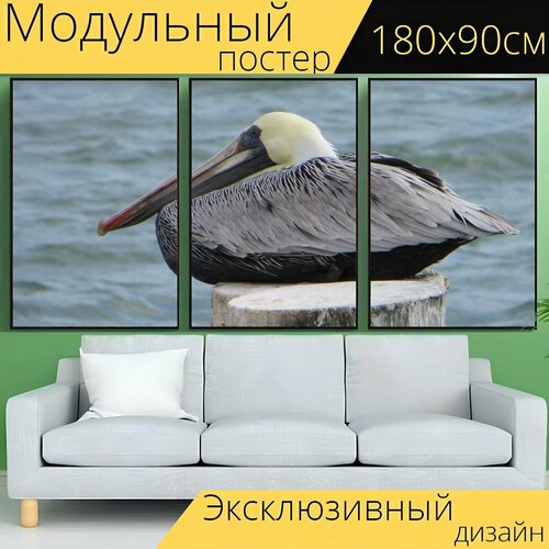 Модульный постер "Природа, птица, пеликан" 180 x 90 см. для интерьера