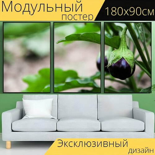 Модульный постер "Баклажан, завод, овощ" 180 x 90 см. для интерьера