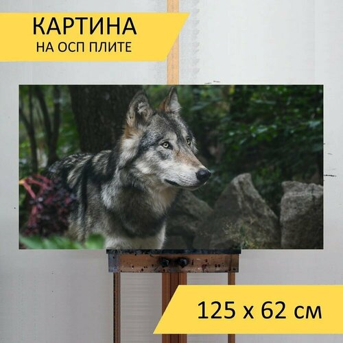 Картина на ОСП 125х62 см. "Волк, хищник, серый" горизонтальная, для интерьера, с креплениями