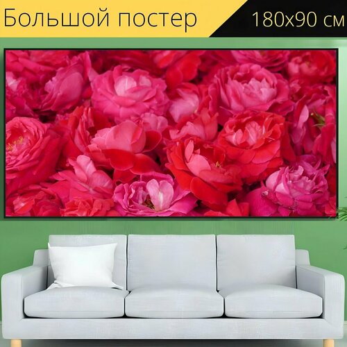 Большой постер "Цветы, лепестки, роза" 180 x 90 см. для интерьера