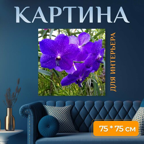 Картина на холсте "Орхидея, синий, тропический" на подрамнике 75х75 см. для интерьера