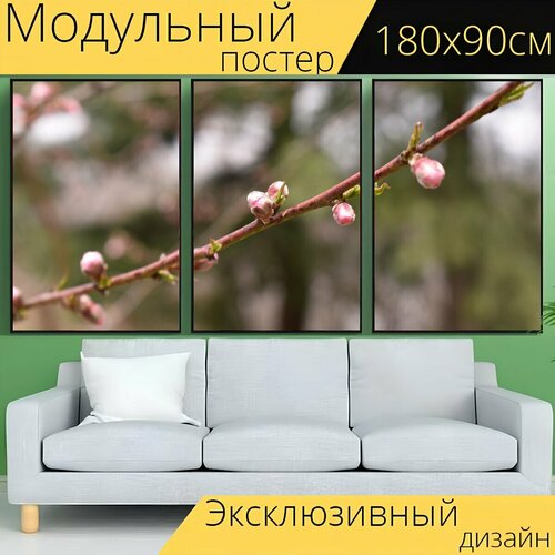 Модульный постер "Персик, цветок, дерево" 180 x 90 см. для интерьера