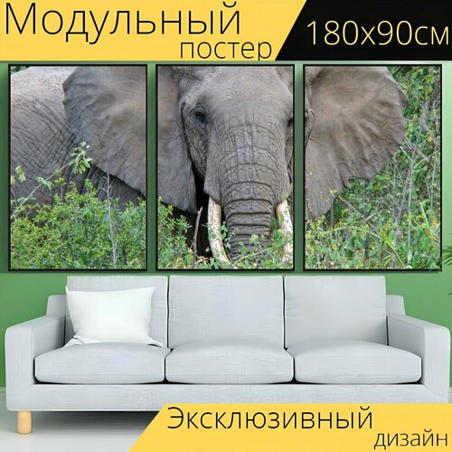 Модульный постер "Слон, танзания, животное" 180 x 90 см. для интерьера