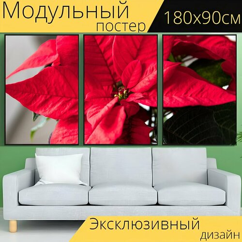 Модульный постер "Рождественская звезда, завод, красный цветок" 180 x 90 см. для интерьера