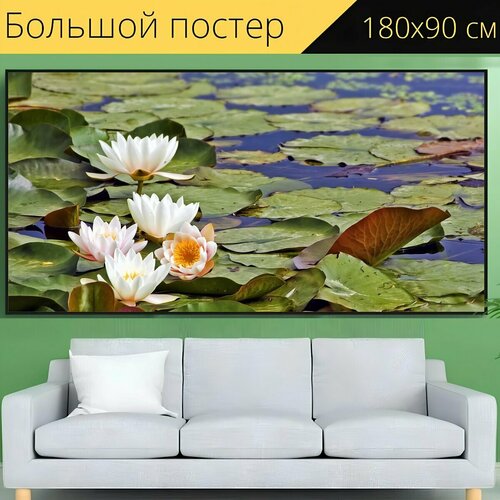 Большой постер "Водяные лилии, цветы, пруд" 180 x 90 см. для интерьера