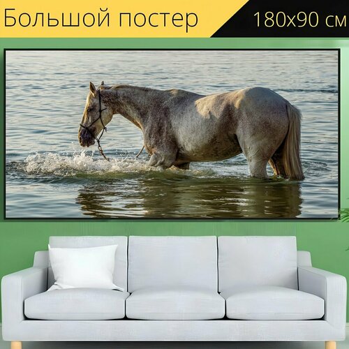 Большой постер "Лошадь, принимать ванну, озеро" 180 x 90 см. для интерьера