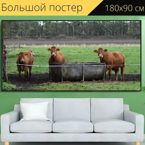Большой постер "Корова, еда, луг" 180 x 90 см. для интерьера