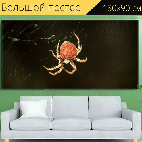 Большой постер "Паук, паукообразный, природа" 180 x 90 см. для интерьера