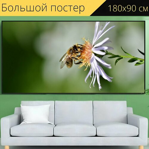 Большой постер "Пчела, насекомое, цвести" 180 x 90 см. для интерьера