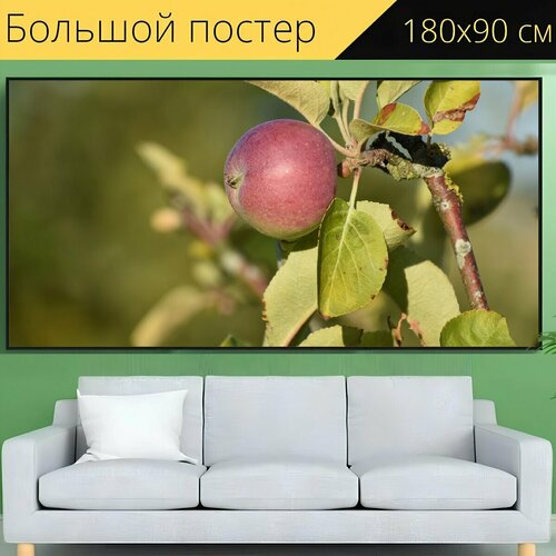 Большой постер "Яблоко, яблоня, фрукты" 180 x 90 см. для интерьера