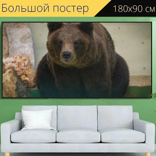 Большой постер "Медведь, животные, природа" 180 x 90 см. для интерьера