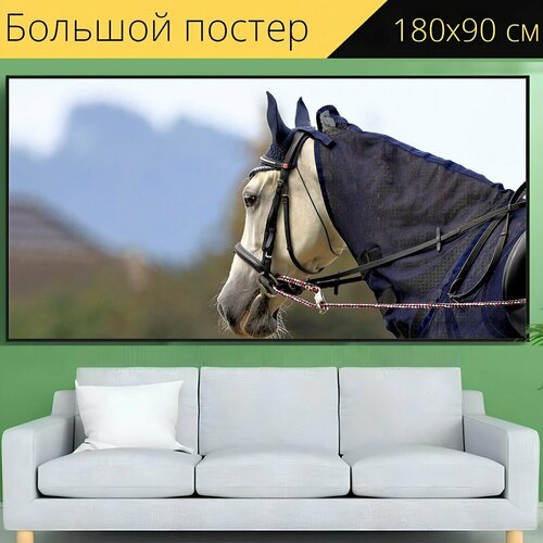 Большой постер "Лошадь, конный спорт, поводья" 180 x 90 см. для интерьера