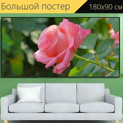 Большой постер "Роуз, цветок, салон красоты" 180 x 90 см. для интерьера