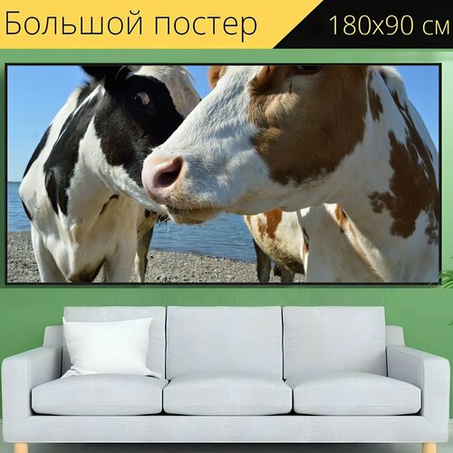 Большой постер "Корова, скот, животные" 180 x 90 см. для интерьера