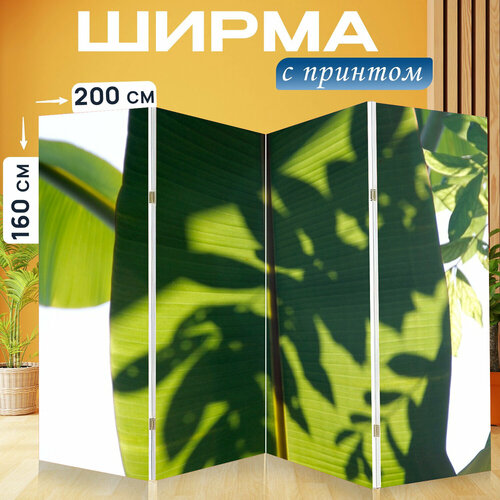 Ширма перегородка с принтом "Пальма, пальмовые листья, лист" на холсте - 200x160 см. для зонирования, раскладная