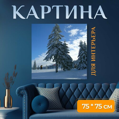 Картина на холсте "Зима, снег, фельдберг" на подрамнике 75х75 см. для интерьера