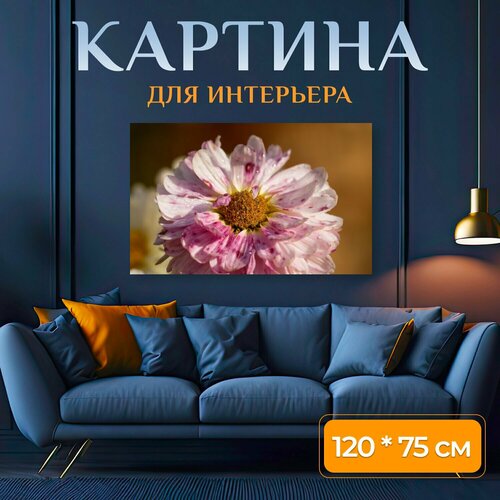 Картина на холсте "Астра, цветочная пыльца, лепестки" на подрамнике 120х75 см. для интерьера