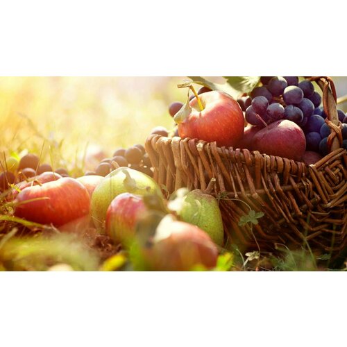 Картина на холсте 110x60 LinxOne "Корзина трава виноград яблоки" интерьерная для дома / на стену / на кухню / с подрамником