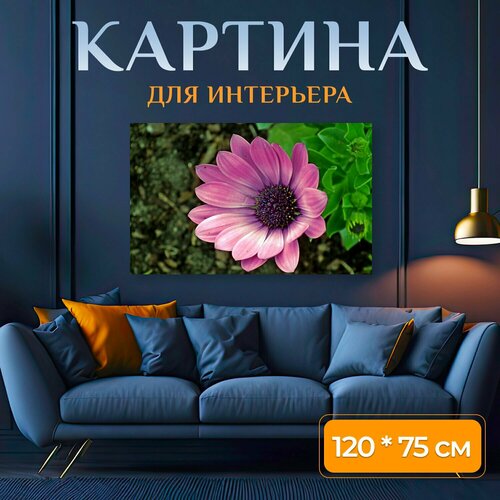 Картина на холсте "Цветок, цветущий, летом" на подрамнике 120х75 см. для интерьера