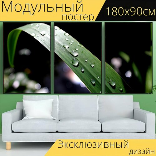 Модульный постер "Дождь, лист, пруд" 180 x 90 см. для интерьера