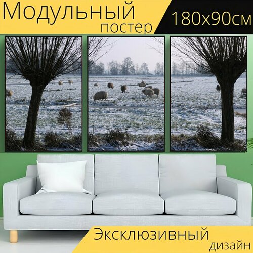 Модульный постер "Зима, пастбище, овец" 180 x 90 см. для интерьера