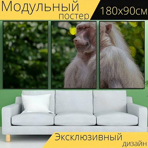 Модульный постер "Обезьяна, зоопарк, бабуин" 180 x 90 см. для интерьера