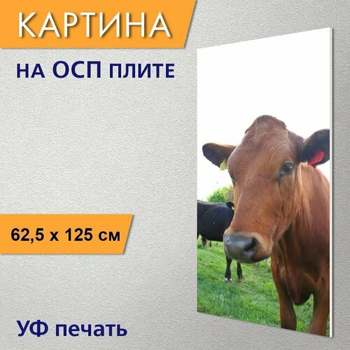 Вертикальная картина на ОСП "Корова, милый, животное" 62x125 см. для интерьериа