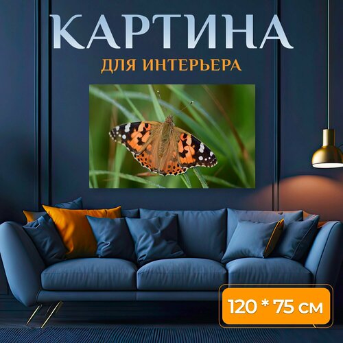 Картина на холсте "Бабочка, расторопша трава мотыльков, луг" на подрамнике 120х75 см. для интерьера