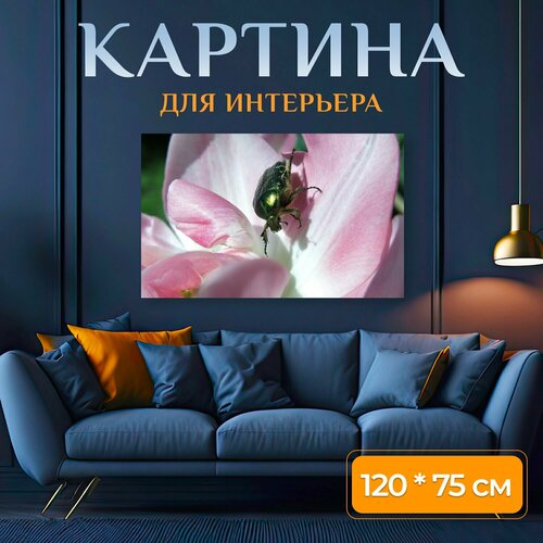 Картина на холсте "Блестящий золотой розовый жук, цветок, тюльпан" на подрамнике 120х75 см. для интерьера