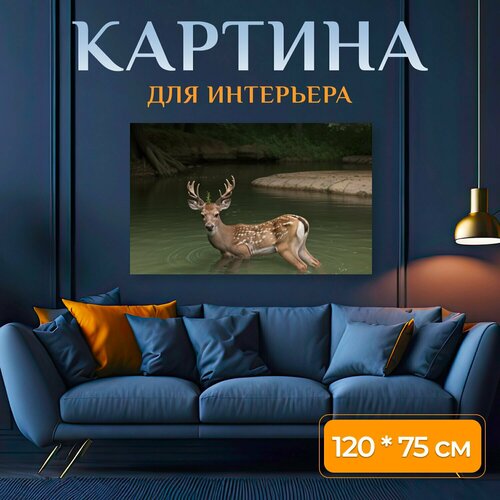 Картина на холсте любителям природы "Животные, олень, купается" на подрамнике 120х75 см. для интерьера