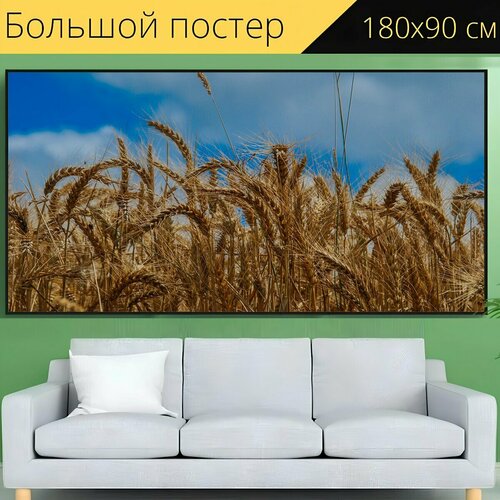 Большой постер "Перейти к, зерновые, солома" 180 x 90 см. для интерьера