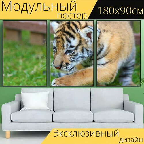 Модульный постер "Тигр, детеныш, котенок" 180 x 90 см. для интерьера