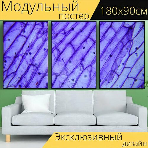 Модульный постер "Препарат, биология, микроскоп" 180 x 90 см. для интерьера