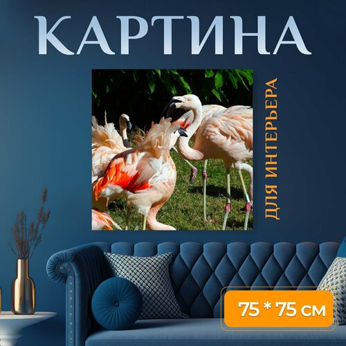 Картина на холсте "Фламинго, птицы, животное" на подрамнике 75х75 см. для интерьера